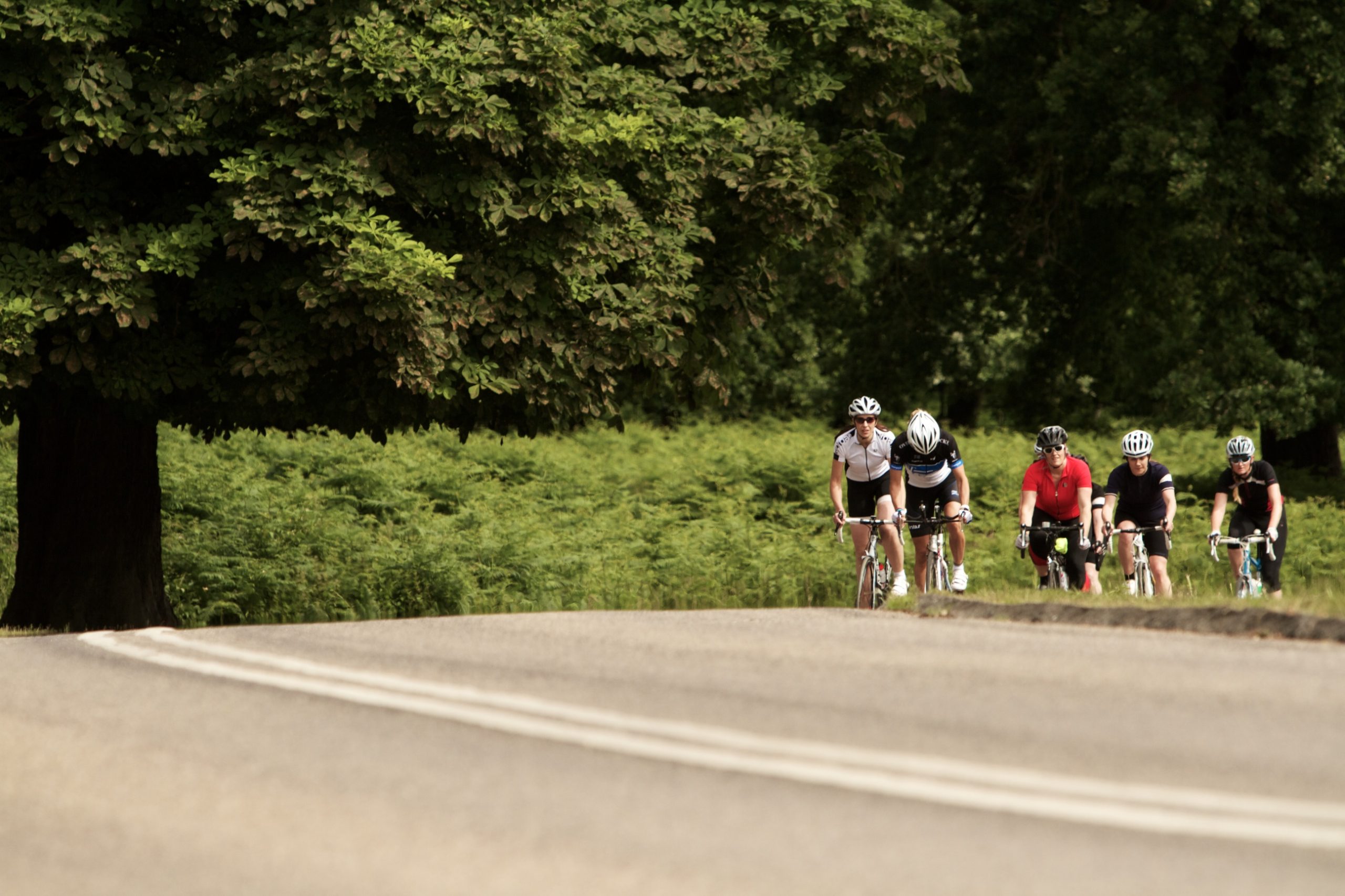 Quick Beginners Cycling Tips: How to Climb Hills
