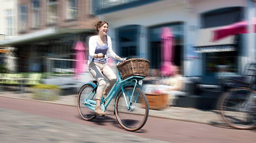 Gazelle Bikes: Buyer’s Guide Reviews & Ti...