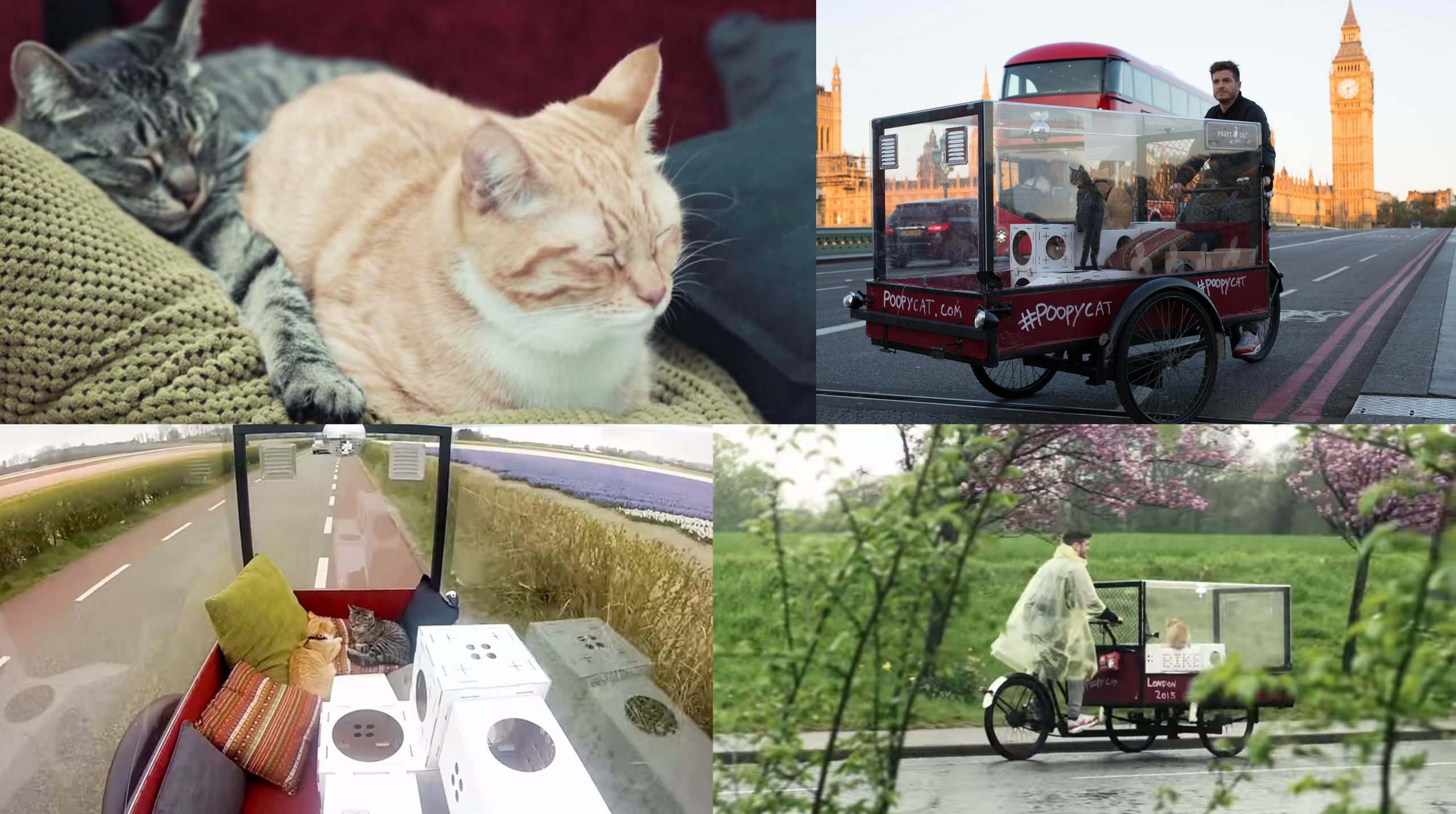 Two ‘Poopy Cats’ Ride 300 Miles With Ass...